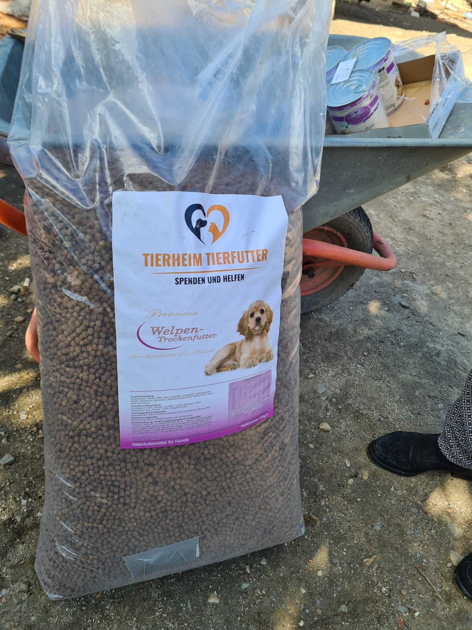 Tierheim Tierfutter - Spenden und helfen